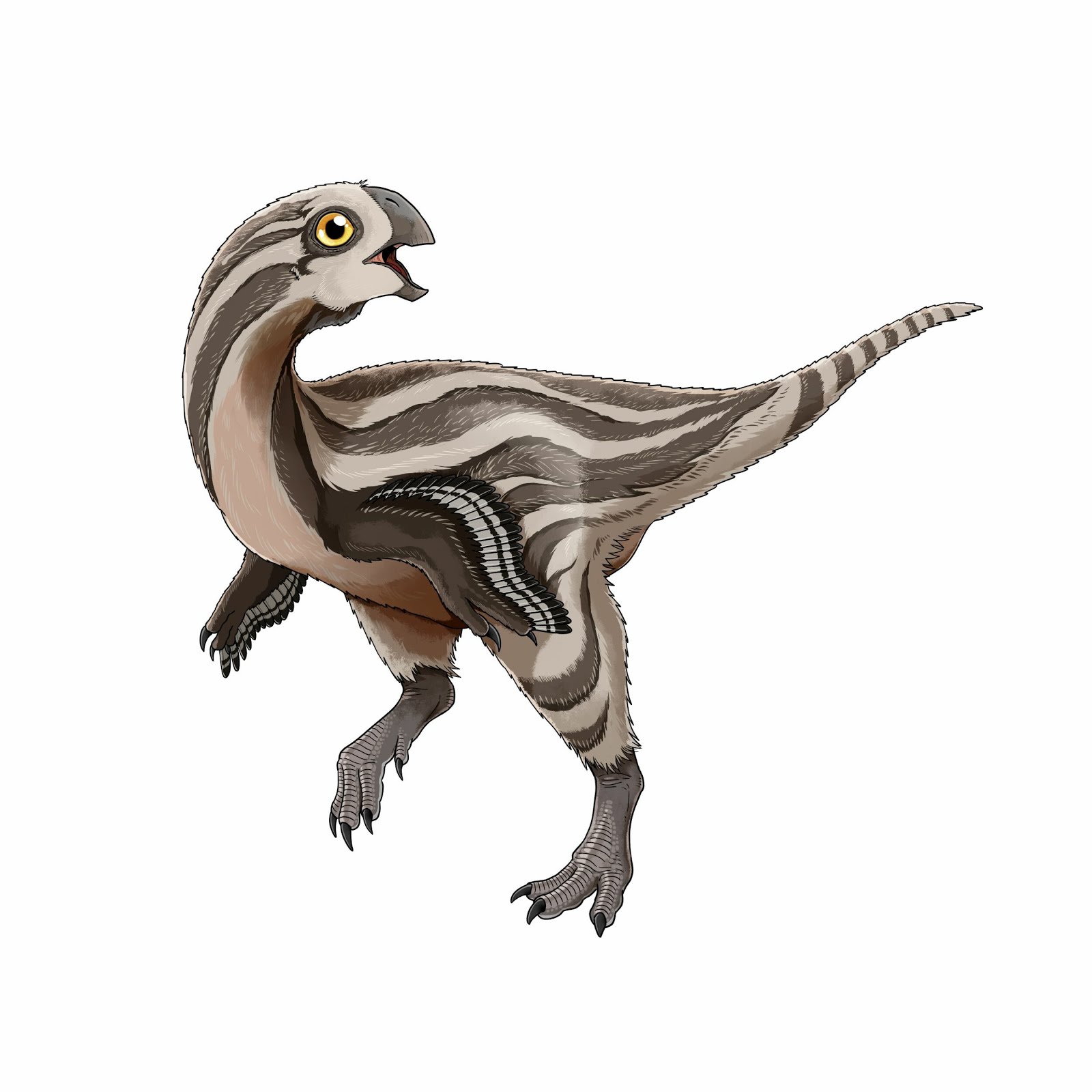 Species New to Science: [Paleontology • 2019] Gobiraptor minutus • A ...