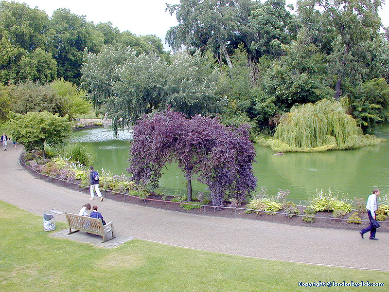 Almonte English YOOO!