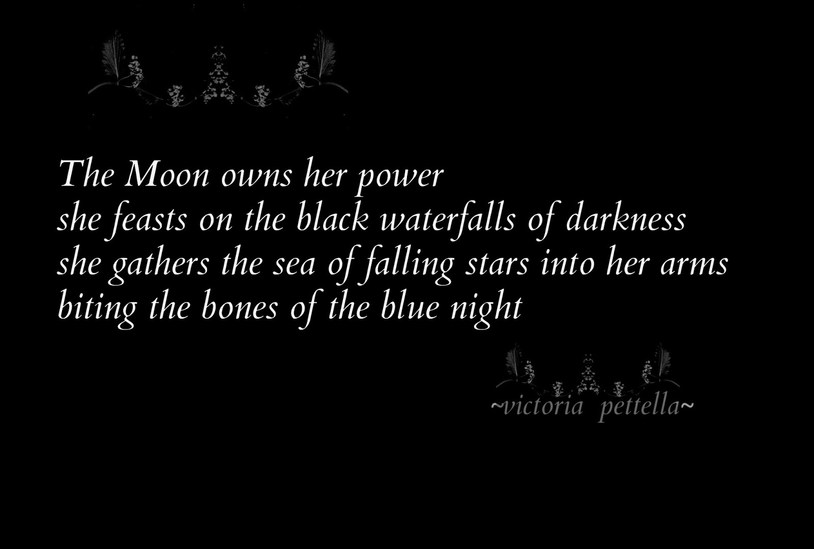 Heart of a Wizardess: poems that hover between garden, moon and soul