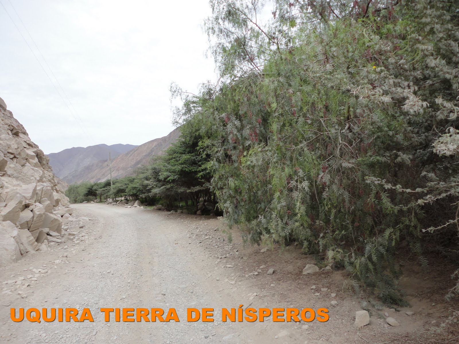 UQUIRA TIERRA DE NÍSPEROS: CAMINATA DE UQUIRA A YESERA