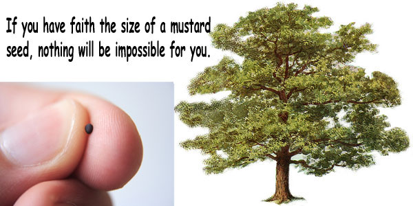 Mustard Tree Size