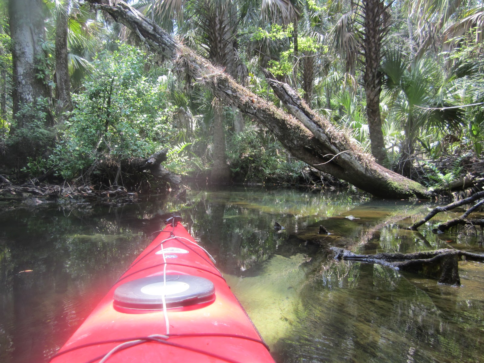 Dave's Yak Tales: Chassahowitzka