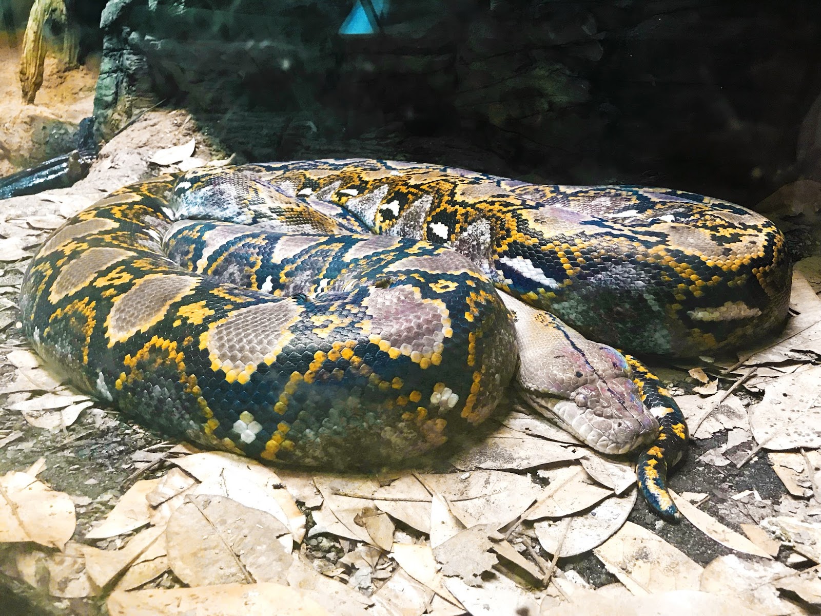 Making the Most of a Staycation for Our Two-Year Anniversary - A Paper ...