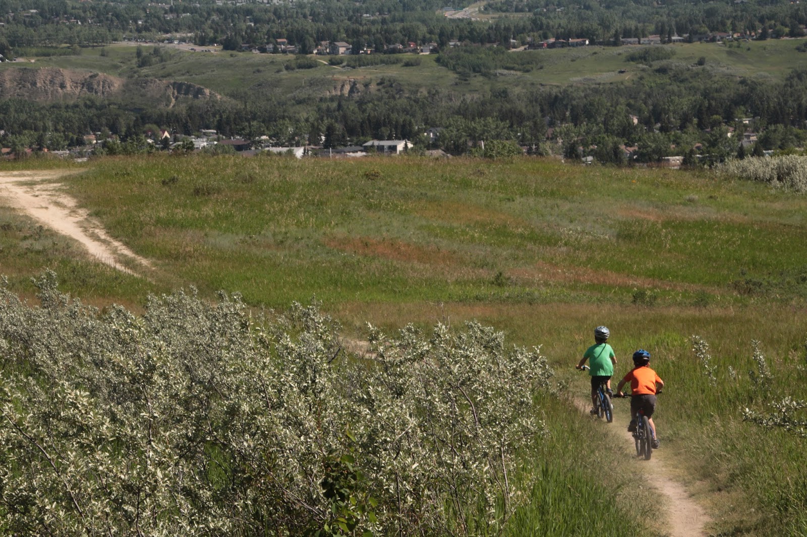 Family Adventures in the Canadian Rockies: An Inside Look at WinSport ...