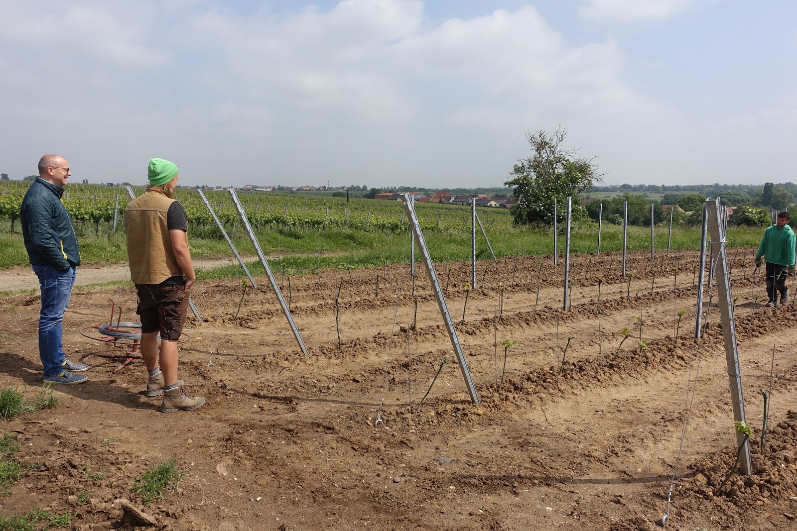schiller-wine: Impressive Vineyard Tour and Tasting at Weingut ...