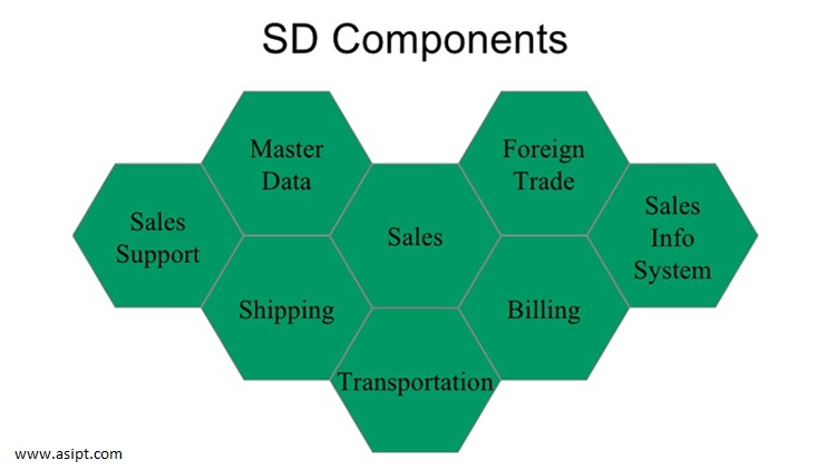Components of SAP SD Module ~ Sales and Distribution (SD)