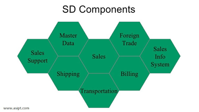 Components of SAP SD Module ~ Sales and Distribution (SD)