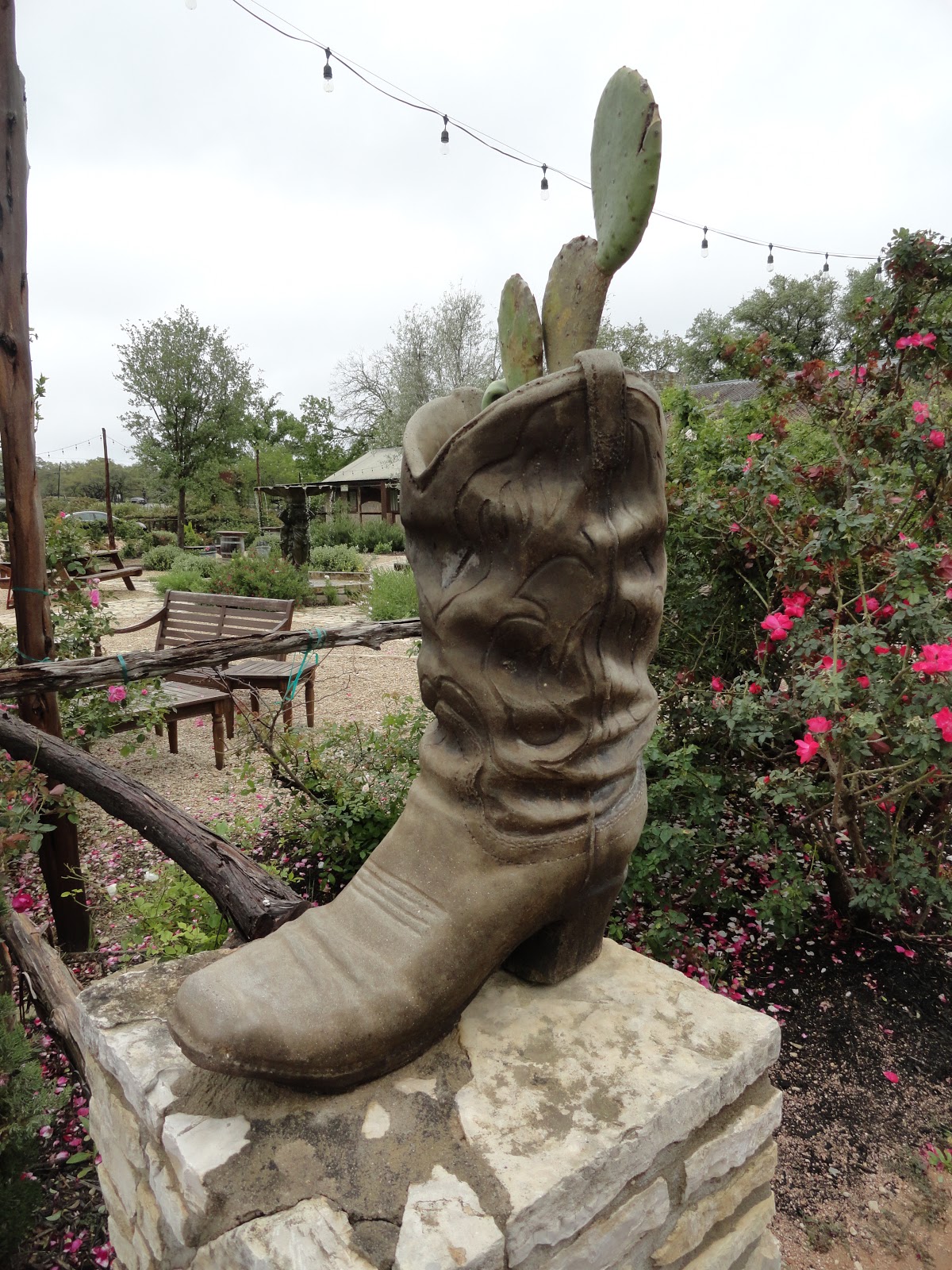 Scott Moreau on Tour: Live in the Live Music Capitol of the World