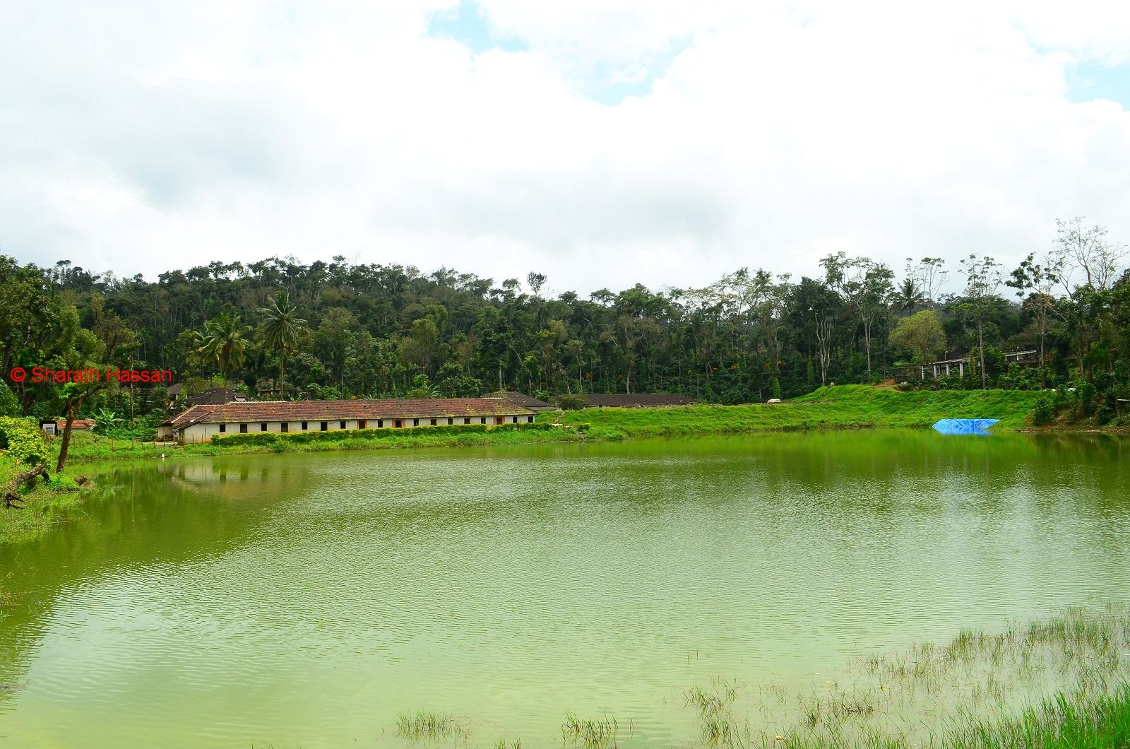 Sharath Hassan A Travelling Photographer: Angadi Nature