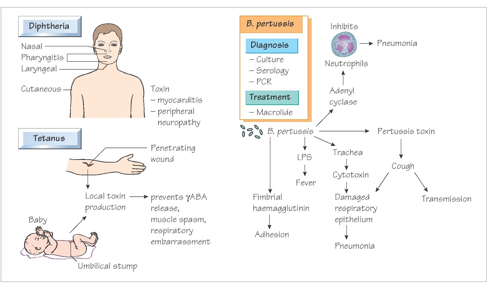 Health Information Guide- HELP: February 2016