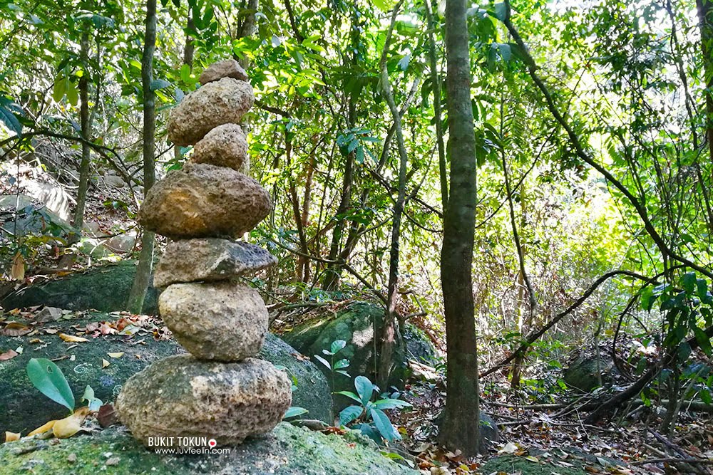Bukit Tokun 大山脚【卓坤山】孟光水坝 | 板根大树 | 山顶电讯塔 - 乐飞翎 ♥ LUVFEELIN