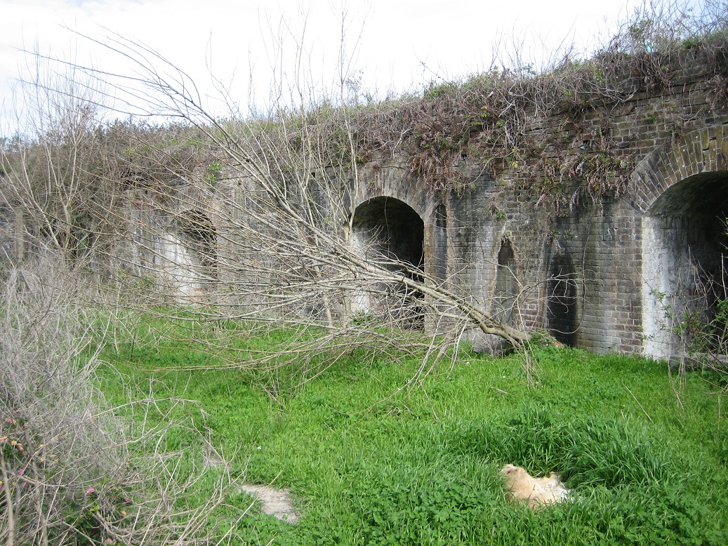 Deserted Places: The ruins of Fort Macomb in New Orleans