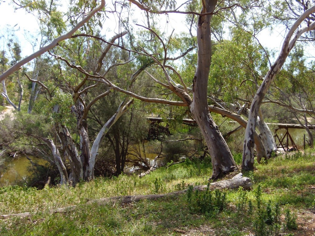 Solo Steve On The Road: MURCHISON HOUSE STATION via KALBARRI WA
