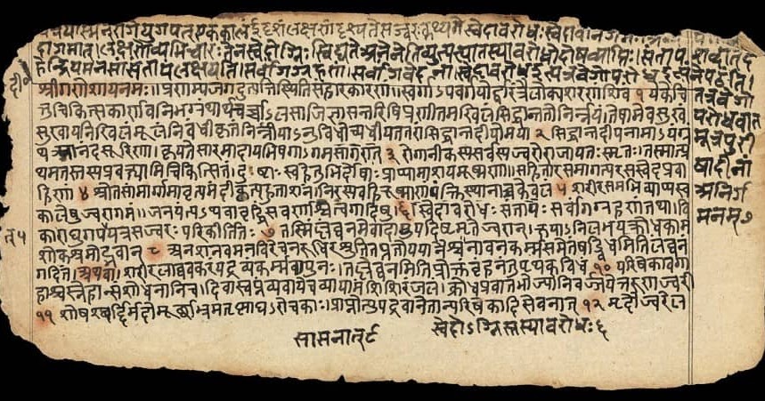 Sanskrit Vedas
