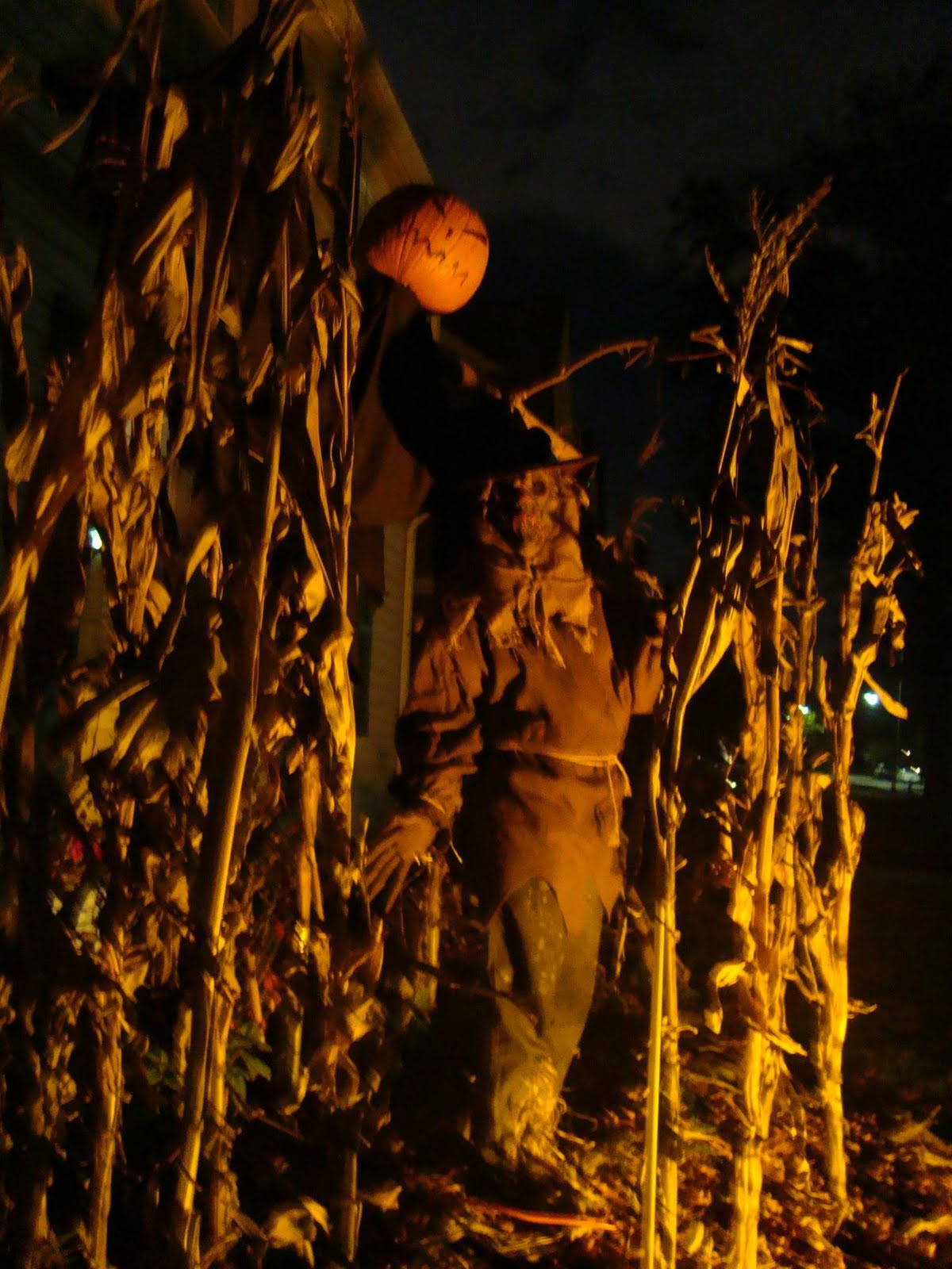 The P.A.C Squad: Excerpt from WRATH OF THE PUMPKIN GOD