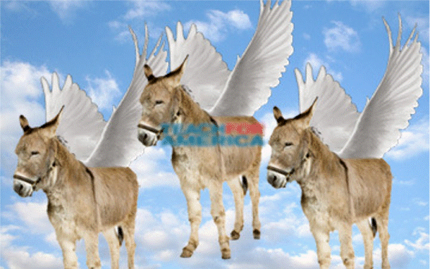 Big Education Ape: Oct 10, 2015