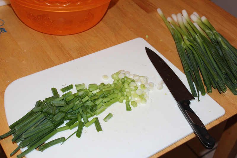 ChamoruBoy: Motsiyas Chamoru