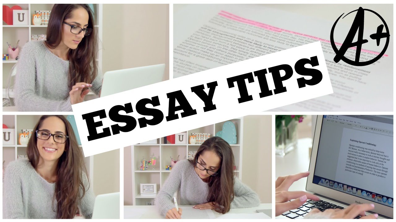 Top 5 Tips on How to Prepare your Essay with the Help of a Sample ...