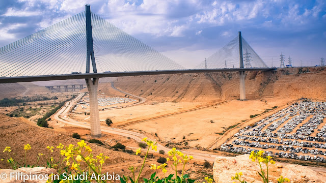 Two Things Media: Hanging Bridge Riyadh Saudi Arabia