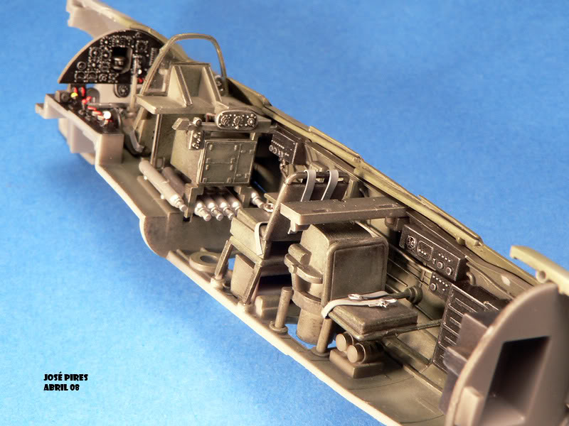 José Pires Scale Modelling: 1/48 Nakajima C6N1 "Myrt"