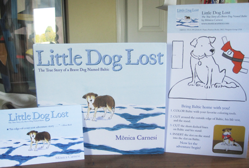 Shirley's Illustrations: Mônica Carnesi's "Little Dog Lost"..what a ...