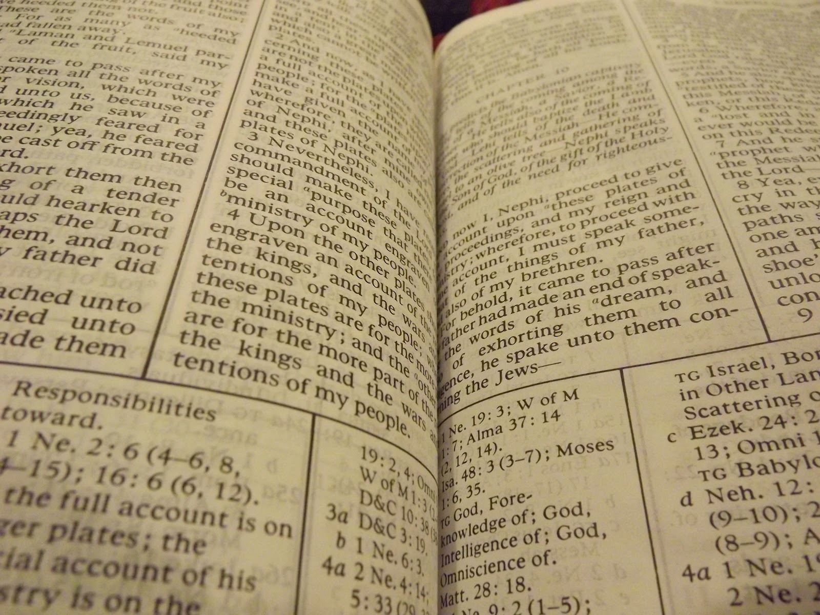 Jenkins Kid Farm: Book of Mormon Read-A-Thon