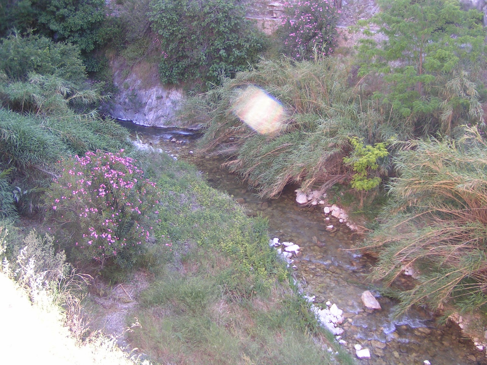ACD. CAMINOS DE HERRADURA: POZOS CLAROS ONTENIENTE