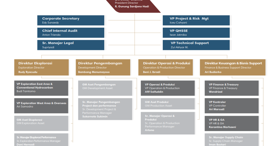 Wilanisa: Struktur Organisasi PT PERTAMINA HULU ENERGI