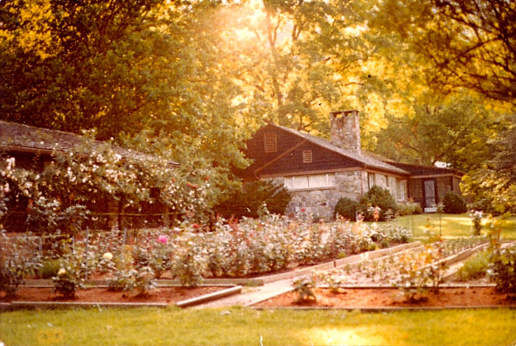 Gary's Outdoor Wanderings2: SCONA LODGE - A Lost Treasure