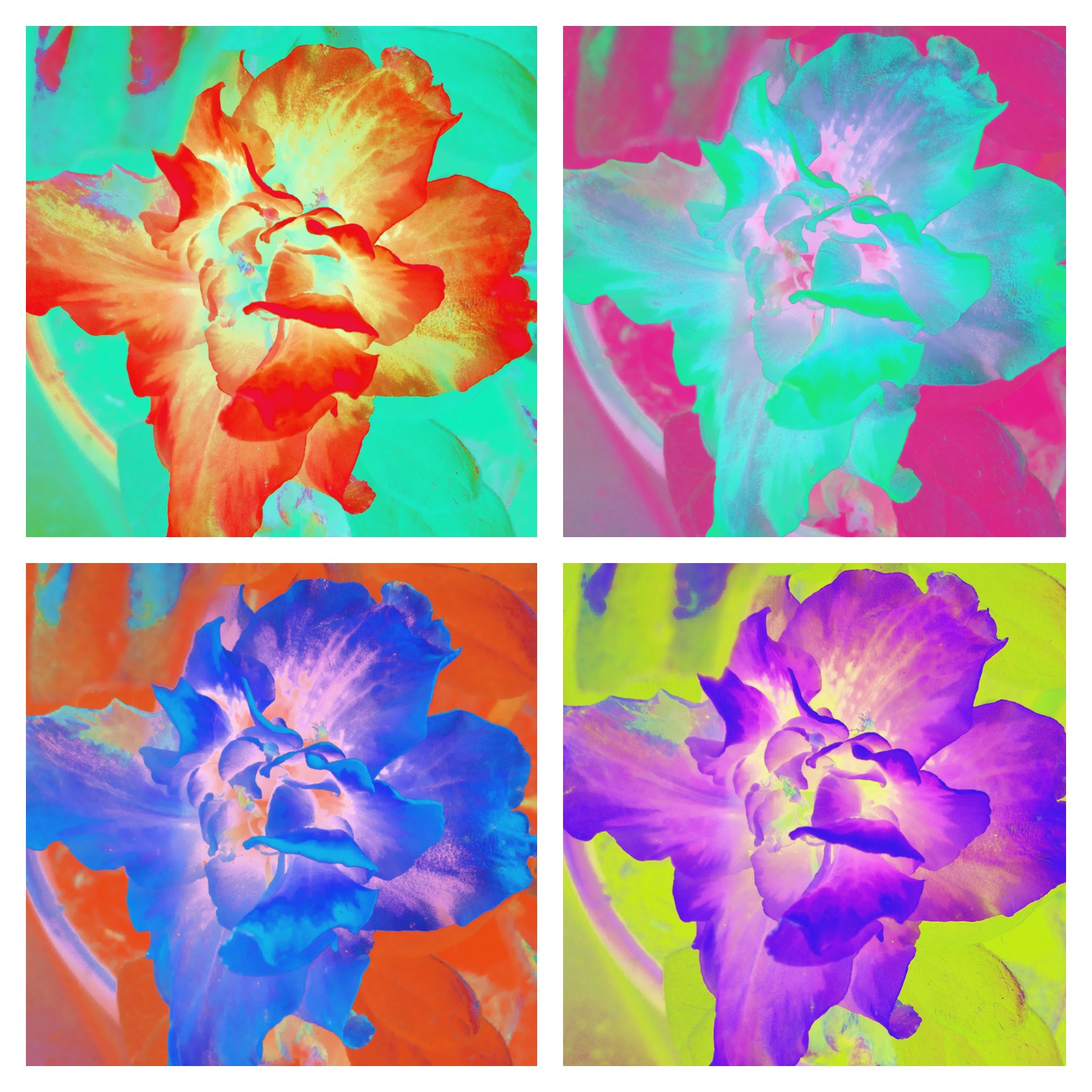 Four Seasons of My Soul: 03/01/2012 - 04/01/2012
