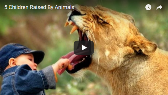 5 Shocking Stories Of Feral Children Who Were Raised By Animals - OneClick