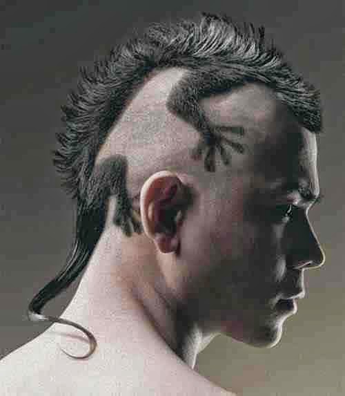 Potongan Rambut Mohawk Kadal