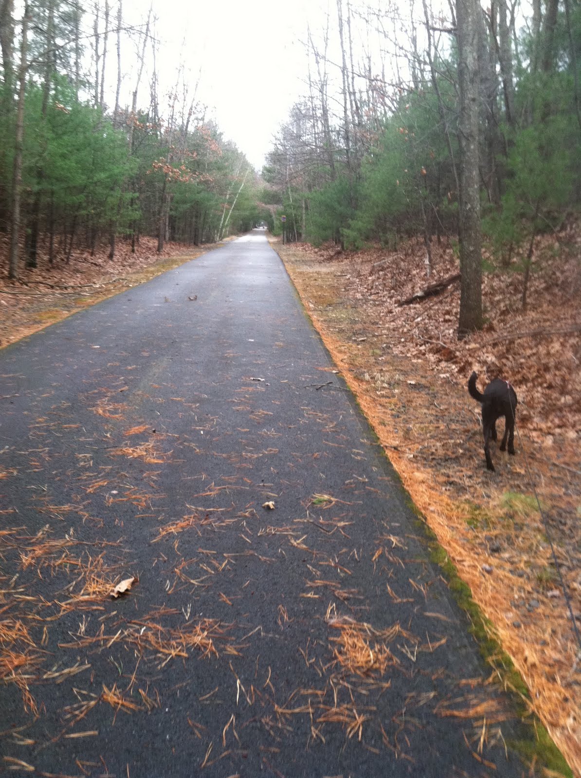 Ashley Running | Life's Adventures One Mile At a Time: 13 Tips for 13 ...