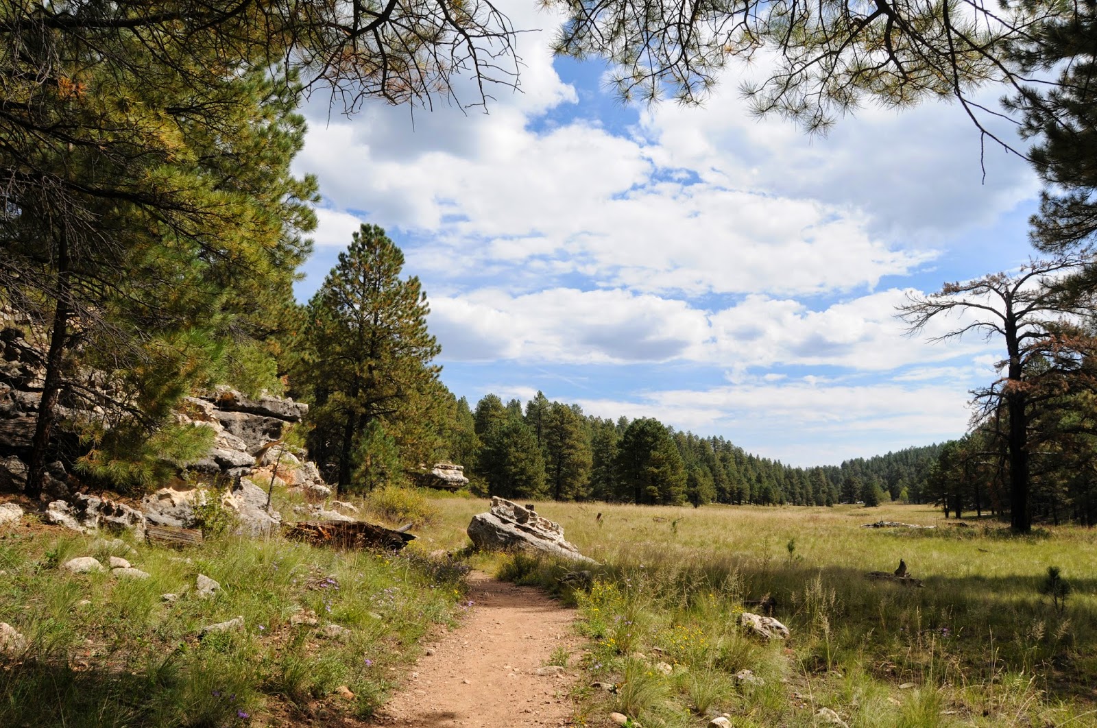 Arizona Hiking: HOWARD DRAW-PRIEST DRAW LOOP
