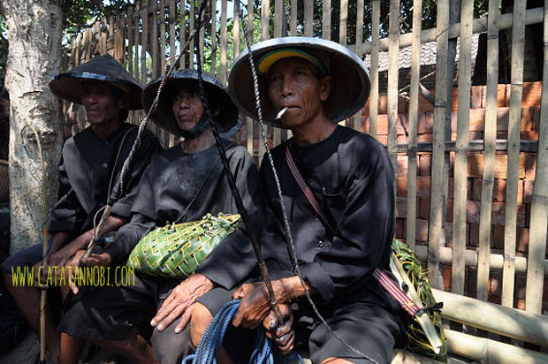 Keseruan Tradisi Adat Kebo-Keboan Alas Malang, Banyuwangi