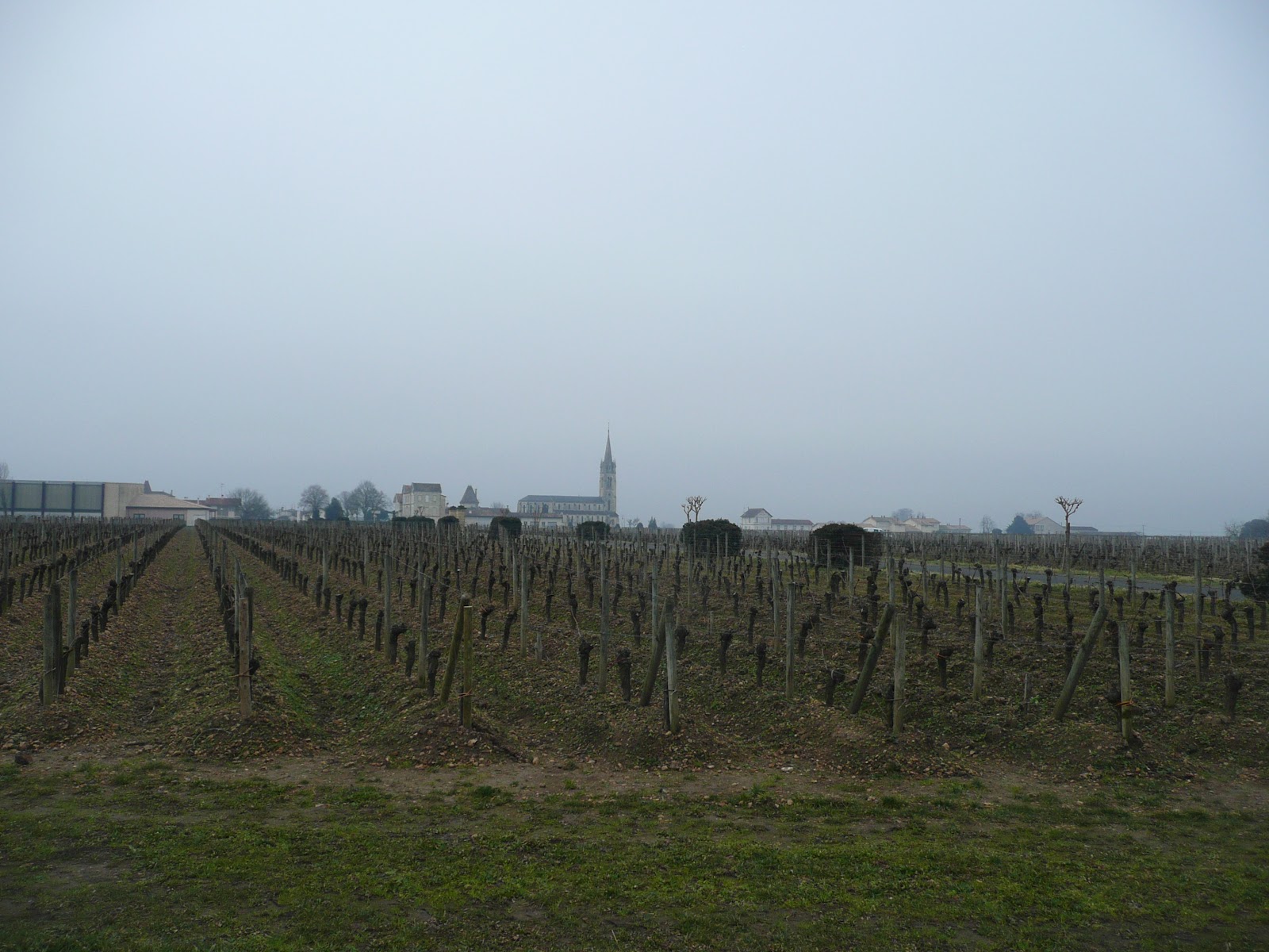 schiller-wine: Bordeaux: The Wines of Pomerol - An Introduction, France