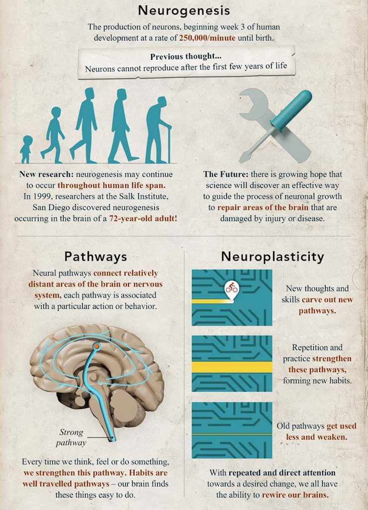Growth Mindset & Feedback Cats: You are the architect of your brain.