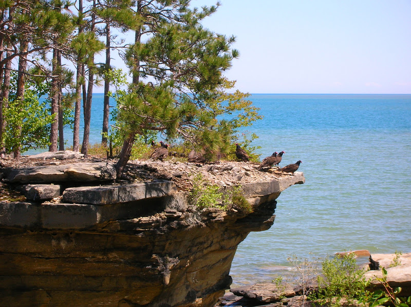 Turnip Rock, Michigan [11 Pic] ~ Awesome Pictures