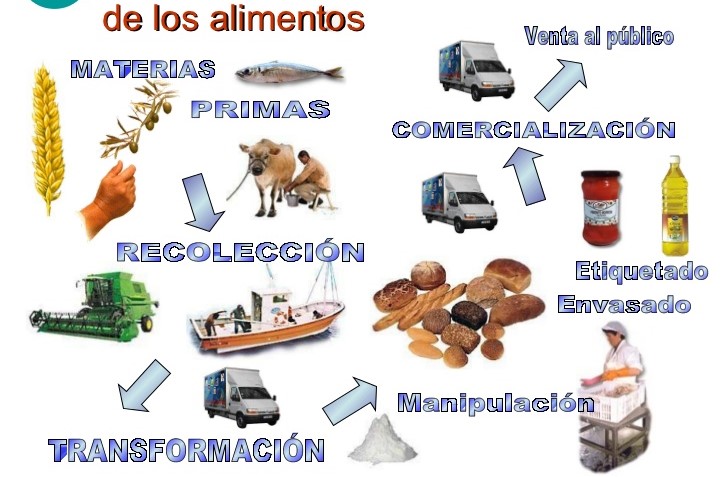 Fases de Transformación de los Alimentos: marzo 2016