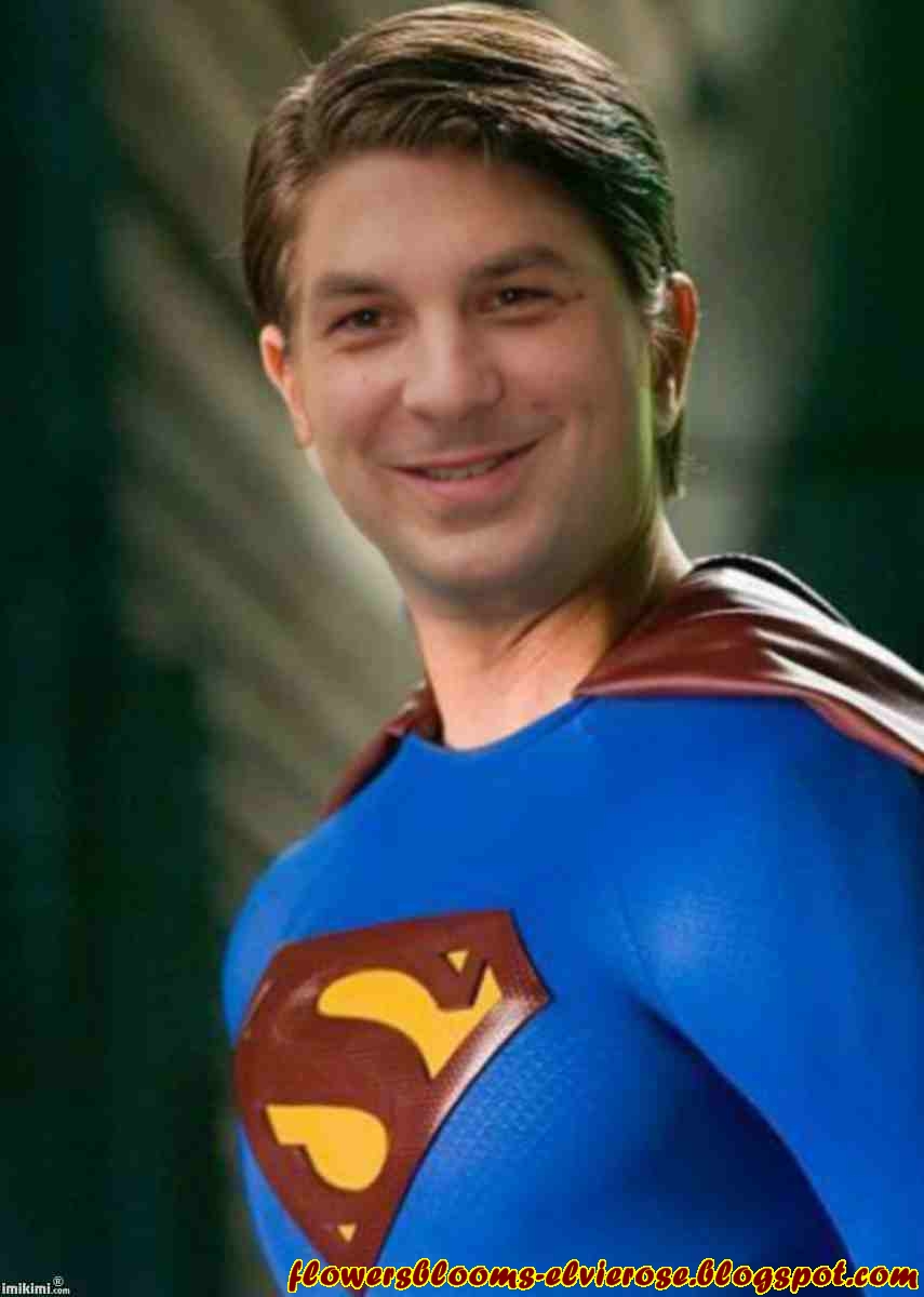 FLOWERSBLOOMS by "Elvie": SunPower's "Superman"...Returns