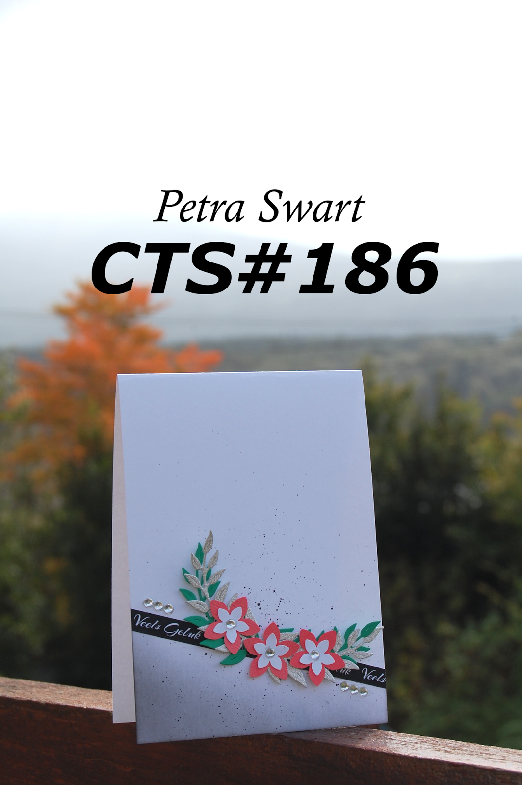 Kaartjie kreatief / Cards creative: CTS#186