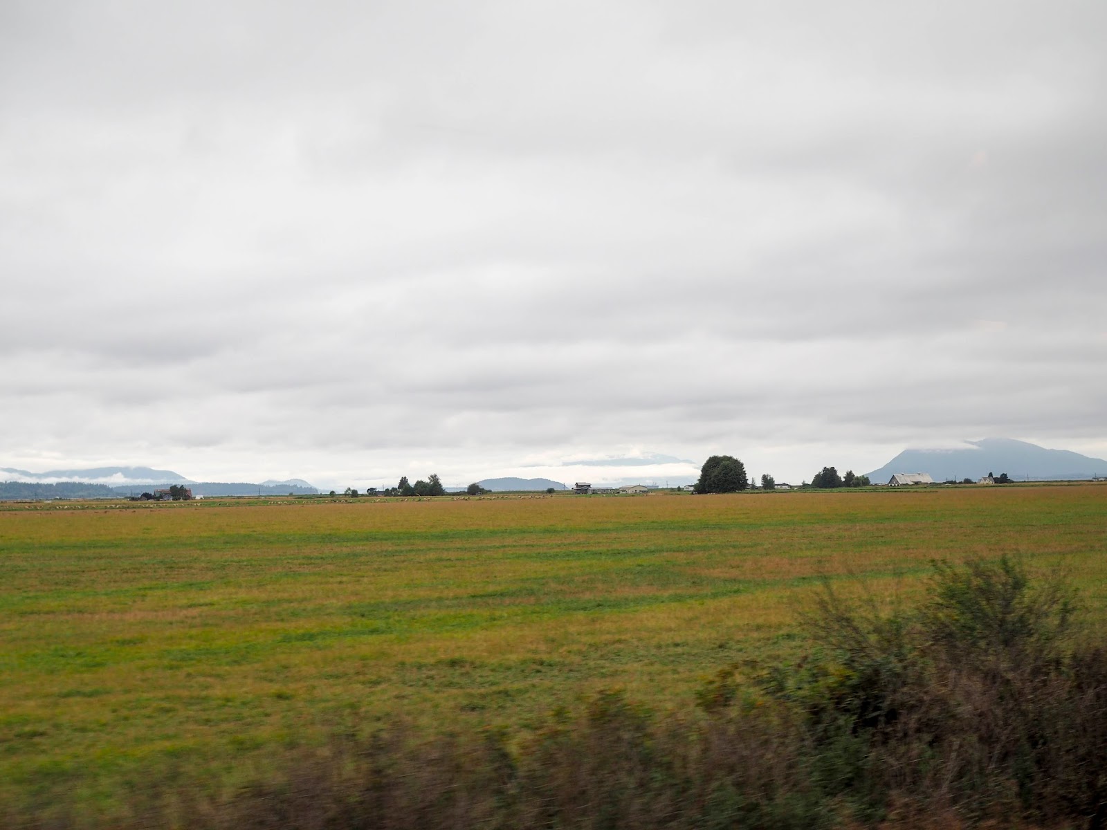 Little Hiccups: Seattle & Canada Trip