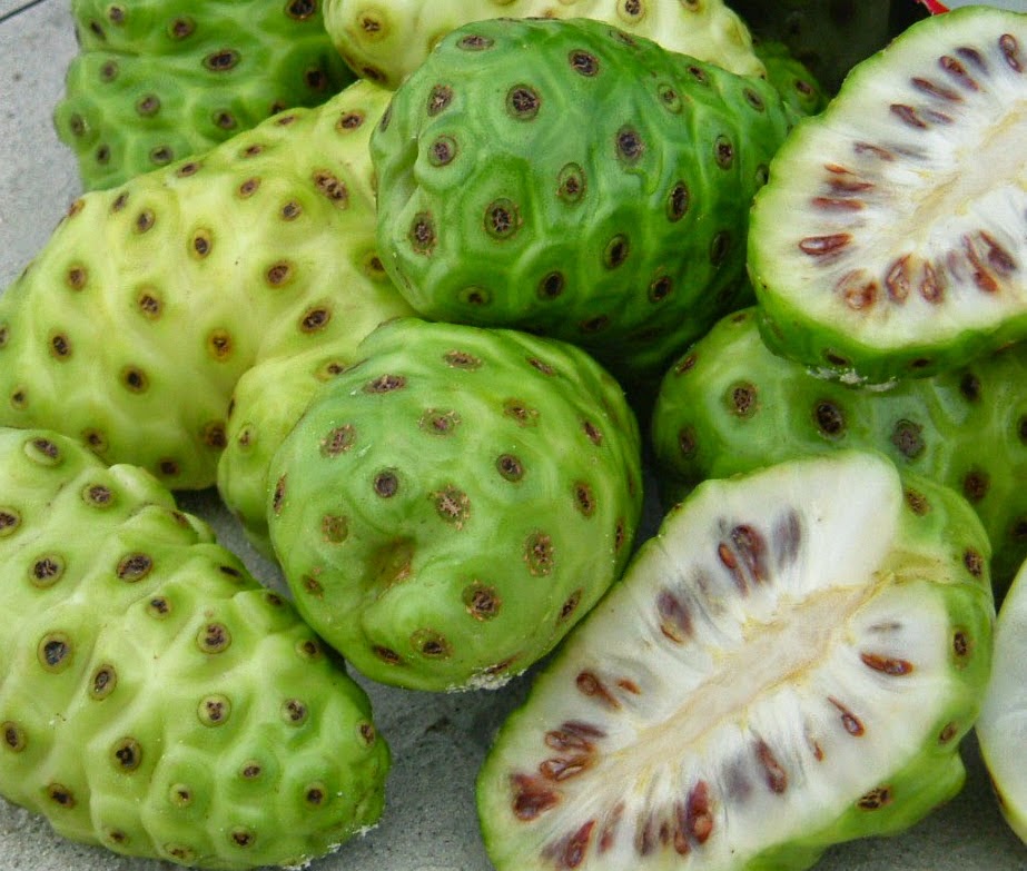 EL NONI ~ Team Networkers Mexico Ova nutric Internacional Team ...