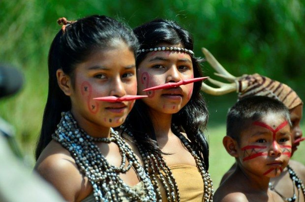 ACTIVIDADES ARTISTICAS