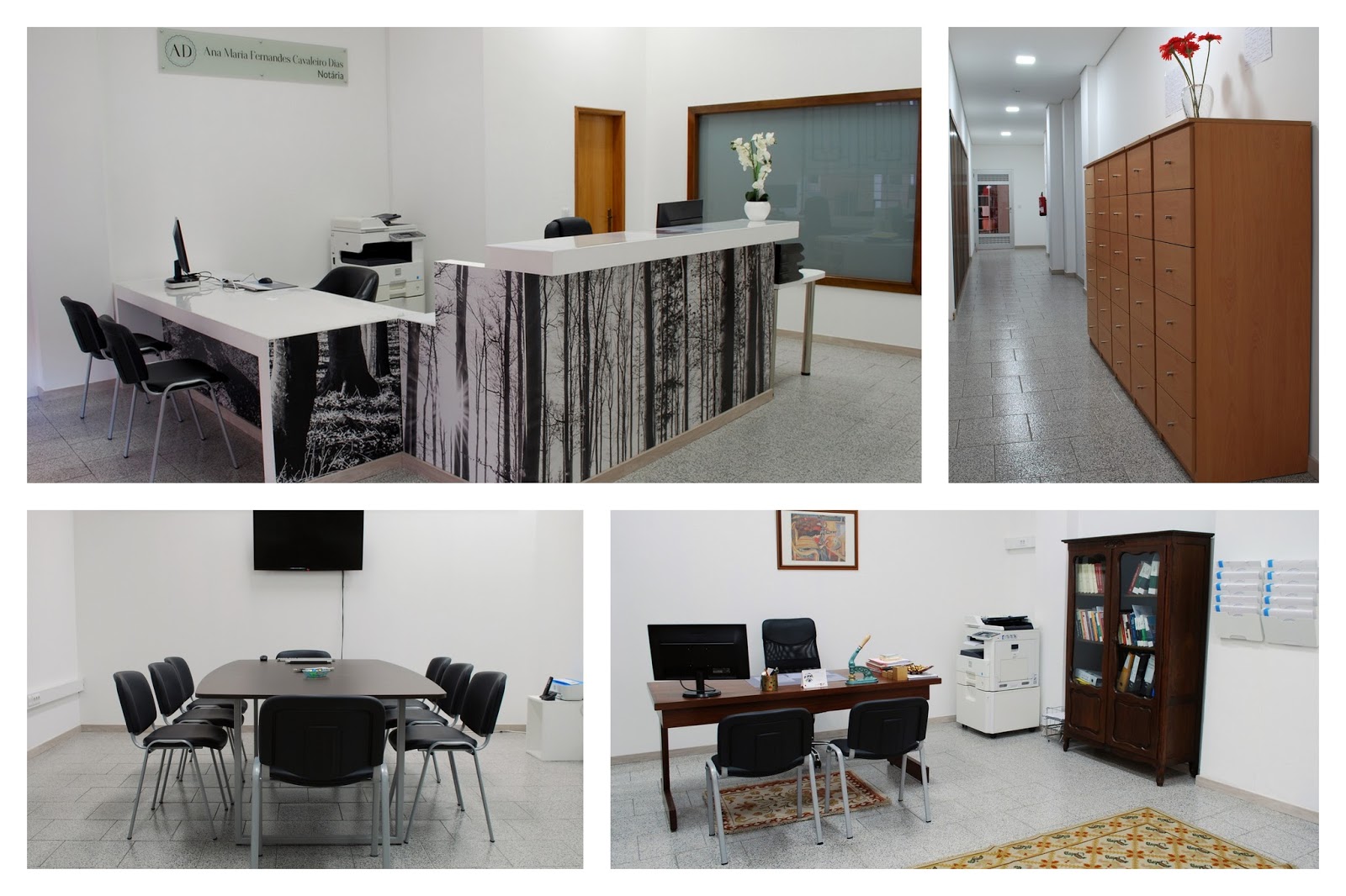 CARTÓRIO NOTARIAL de ANA MARIA DIAS: Abertura das novas instalações