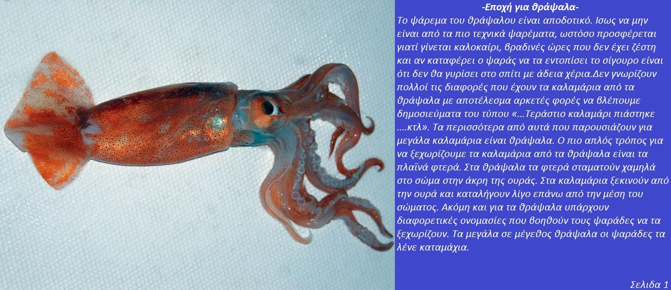 Εποχη για θραψαλα
