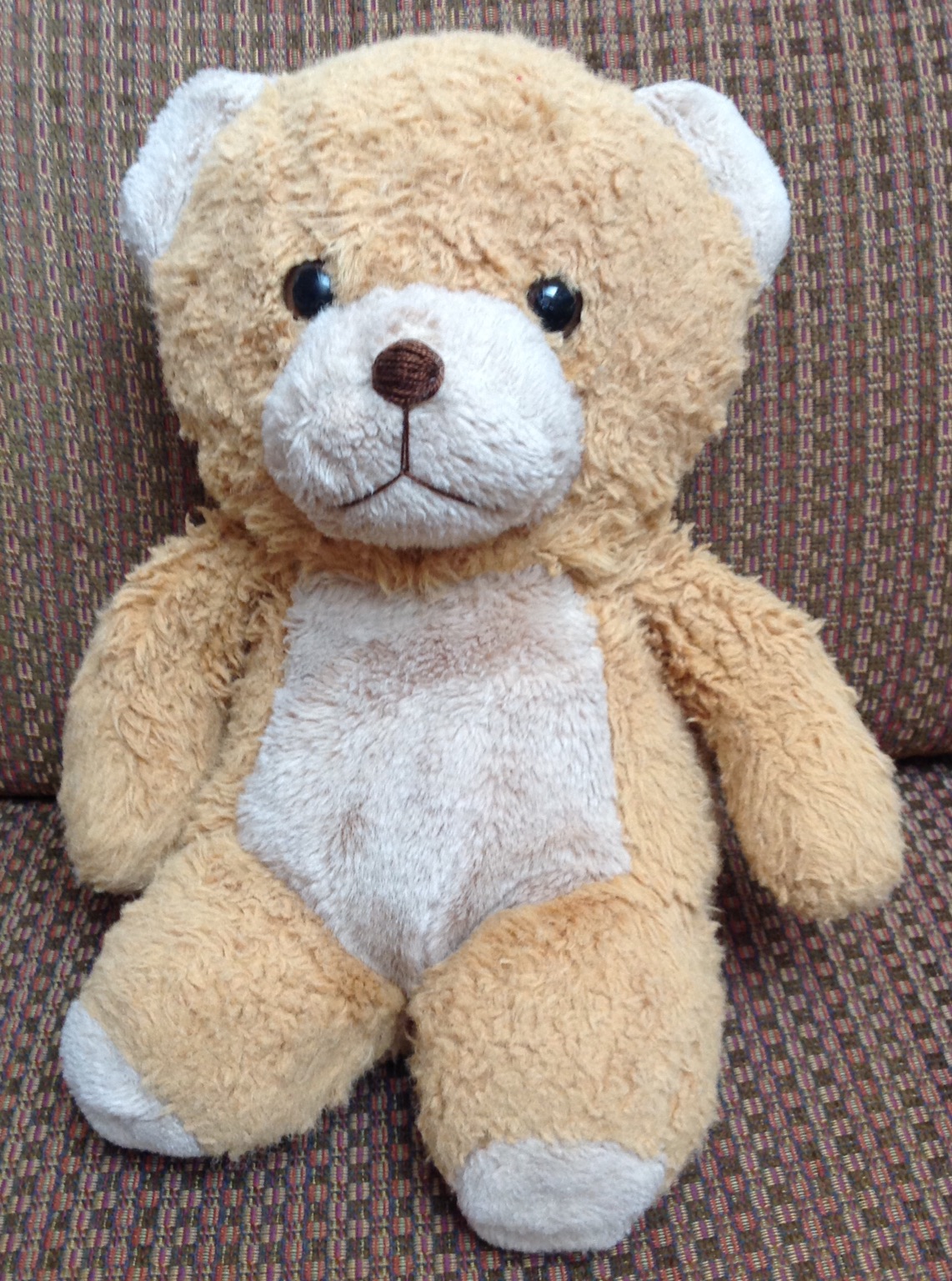 The Teddy Bear and Stuffy Doctor