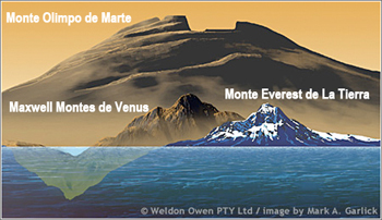 No Limits Productions: Curiosidades