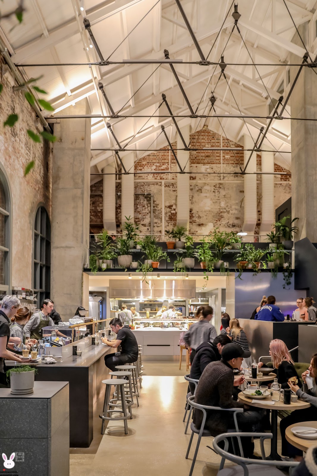 Higher Ground | Melbourne, AUSTRALIA | DolceBunnie