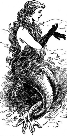 The Victorian Times: Mermaid Cottage